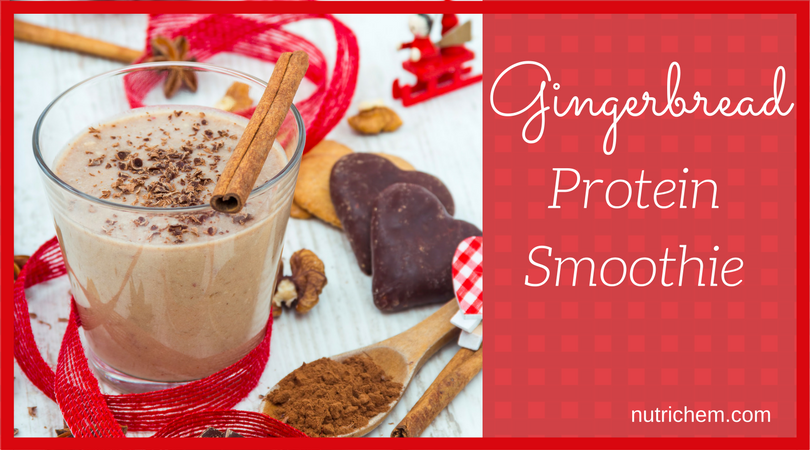 Gingerbread Protein Smoothie | NutriChem