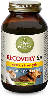 Recovery SA Powder – NutriChem
